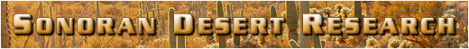 The Woodshed AZ - Sonoran Desert Research
